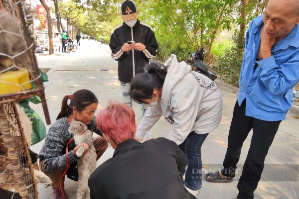 Buôn bán tràn lan chó, mèo bị nhốt chung trong lồng sắt - Bệnh viện Thú ...