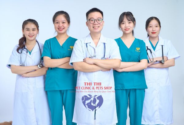Hướng dẫn chi tiết cách nuôi chim sẻ làm cảnh - Bệnh viện Thú Y Thi Thi ...